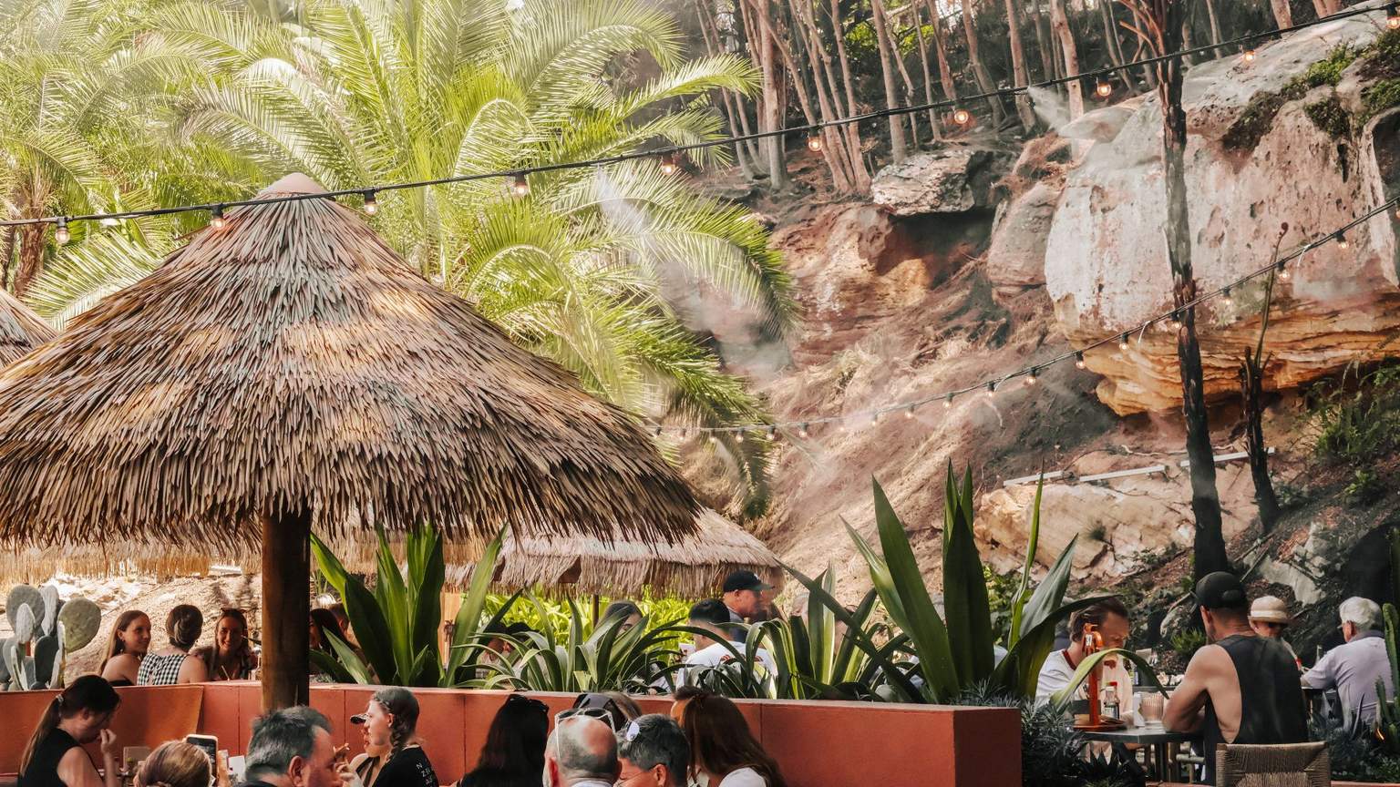 Las Palmas Manly, Manly Review