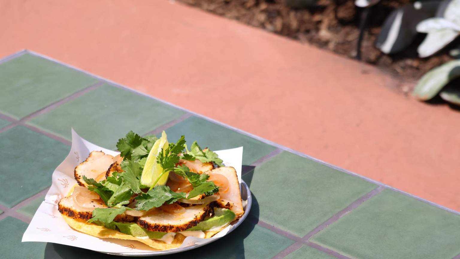 Las Palmas Manly, Manly Review