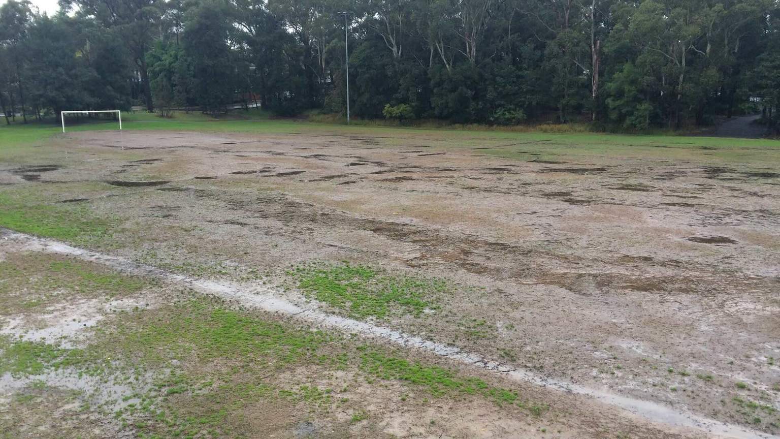 This Just In: Inside the $20 Million Norman Griffiths Oval Project